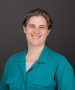 Environmental Engineering Sciences Faculty & Staff