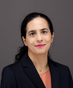 Environmental Engineering Sciences Faculty & Staff